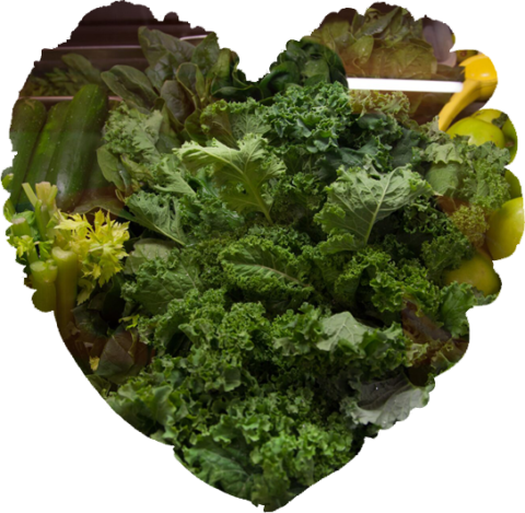 Healthy Fresh Inc - Healthy restaurant serving up food, juice, smoothie ...